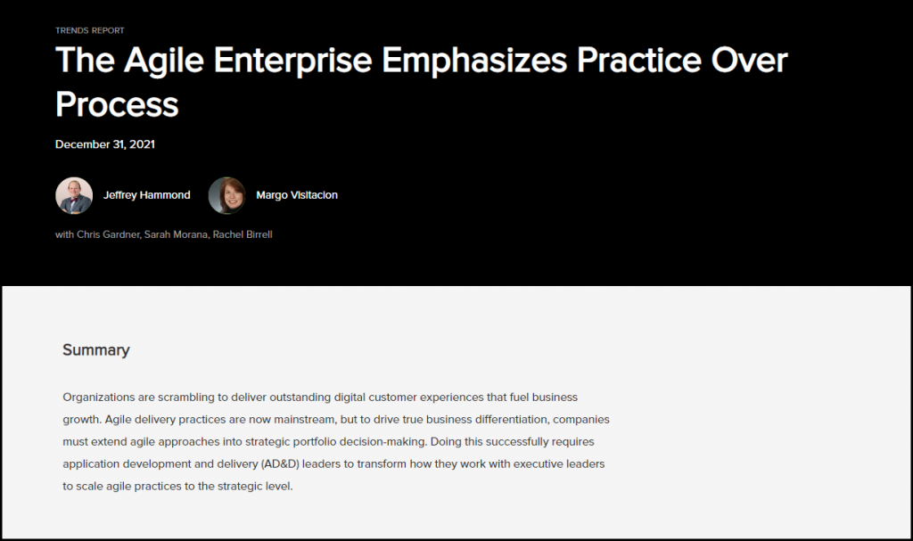 Agile Enterprise Emphasizes Practice Over Process – Wisdom Interface