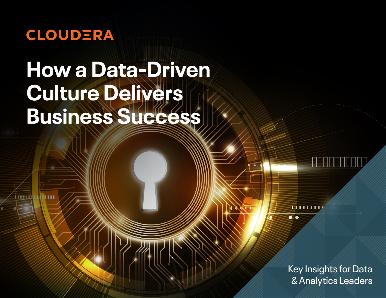 ebook: How a data-driven culture delivers business success – WisdomInterface