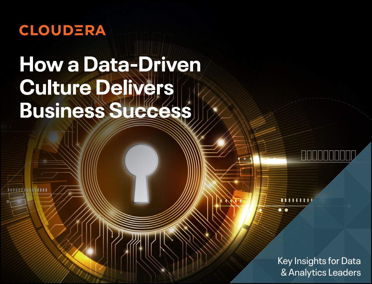 ebook: How a data-driven culture delivers business success – WisdomInterface