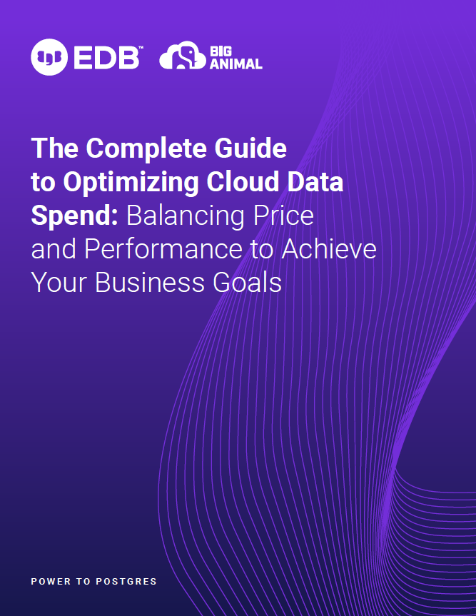 The Complete Guide to Optimizing Cloud Data Spend: Balancing Price and Performance to Achieve ...