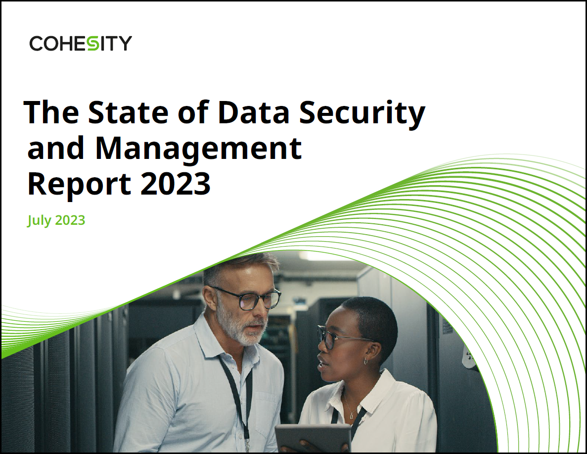 The State of Data Security and Management Report 2023 – WisdomInterface