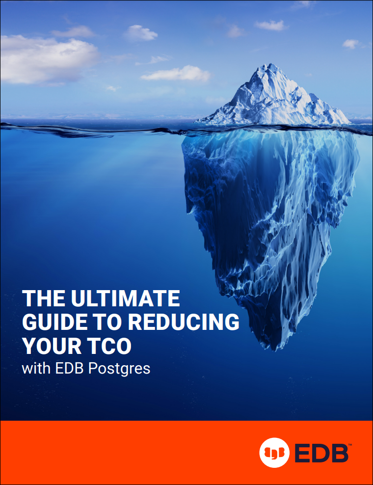 The Ultimate Guide to Reducing TCO – WisdomInterface