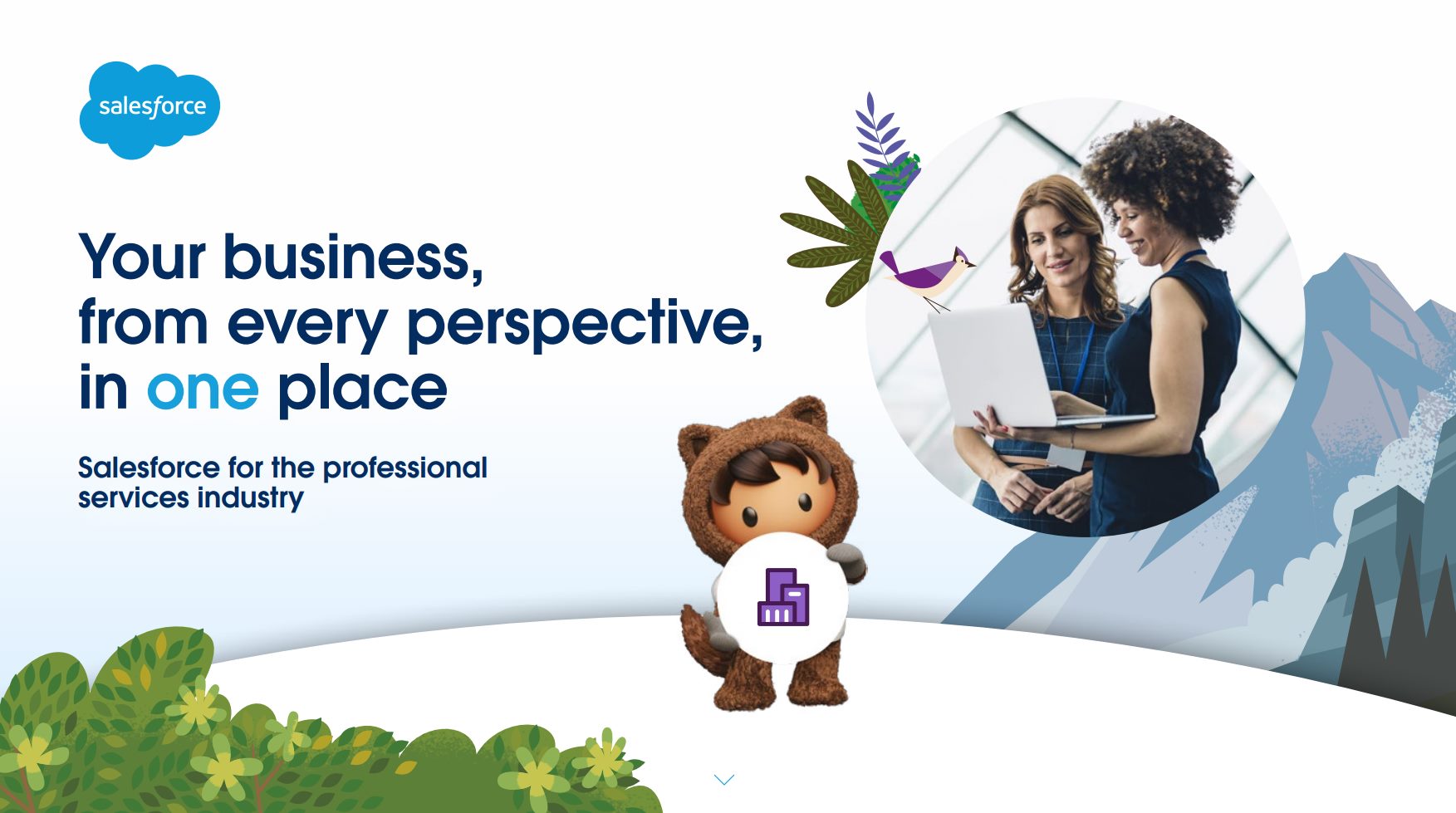 Salesforce for the Professional Services Industry – WisdomInterface
