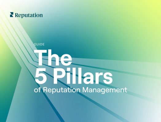 Private: 5 Key Pillars of Effective Online Reputation Management ...